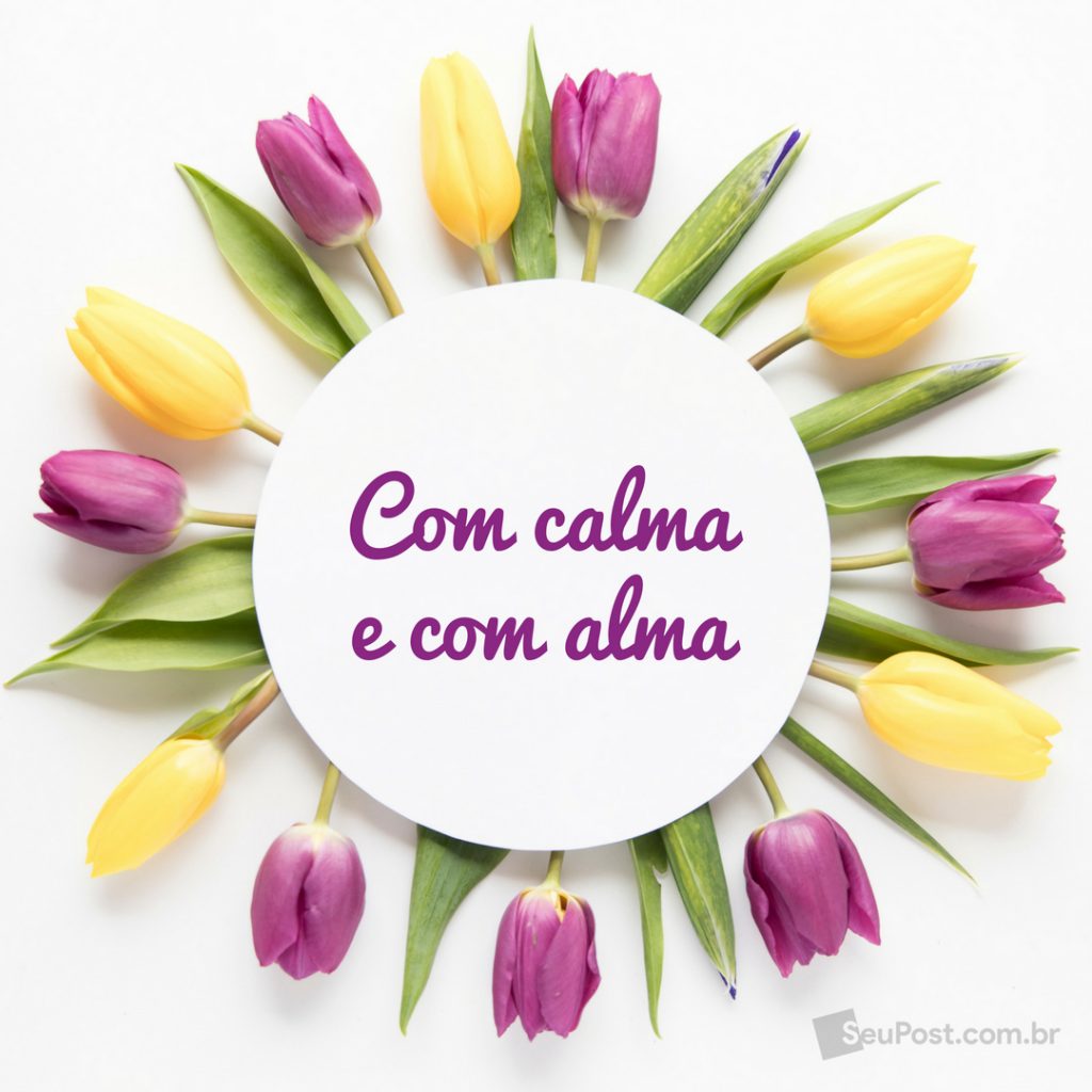 Calma - Seu Post - Frases gratuitas você encontra aqui. Confira!